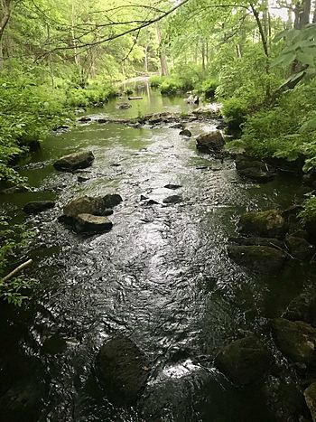 Blackledge River Facts for Kids