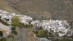 Olula de Castro Facts for Kids