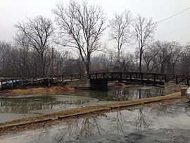 Fletcher's Cove Facts for Kids