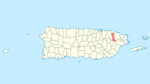 Canóvanas, Puerto Rico Facts for Kids