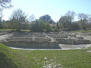 Oppidum Facts for Kids