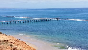 Port Noarlunga Reef Aquatic Reserve Facts for Kids