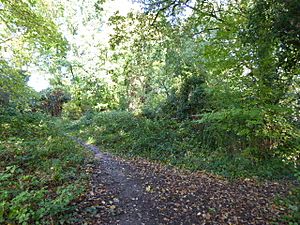 Haymill Valley Facts for Kids