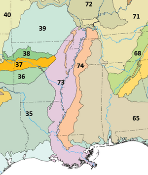Mississippi Alluvial Plain (ecoregion) Facts for Kids