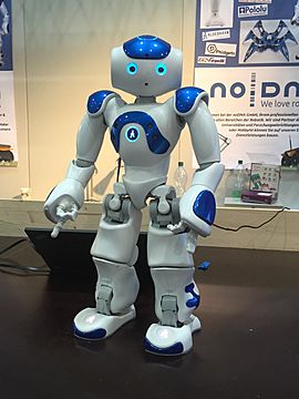 Nao (robot) Facts for Kids