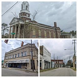 Clio, South Carolina Facts for Kids