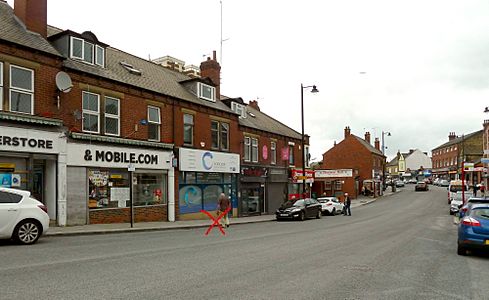 Armley Hippo Facts for Kids