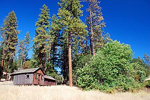 Buncom, Oregon Facts for Kids