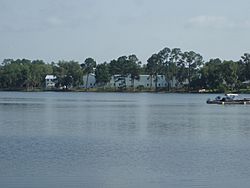 Lynne, Florida Facts for Kids