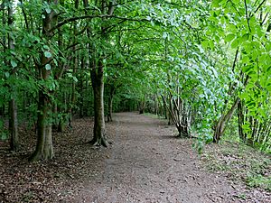 High Elms Country Park Facts for Kids
