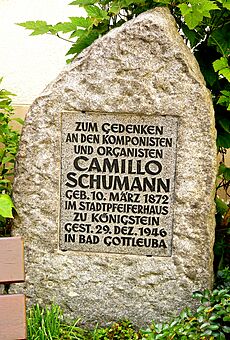 Camillo Schumann Facts for Kids