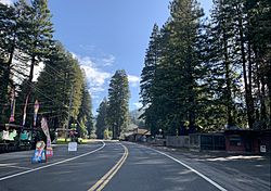 Redcrest, California Facts for Kids