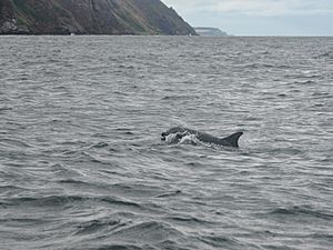 Cromarty Firth Facts for Kids