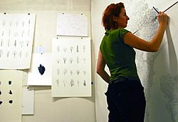 Katie Holten Facts for Kids