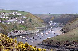 Solva Facts for Kids
