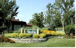 Stelle, Illinois Facts for Kids