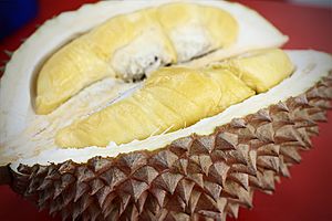 Musang King Facts for Kids
