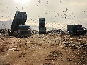 Landfill Facts for Kids