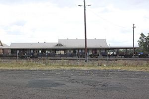 Taree railway station Facts for Kids