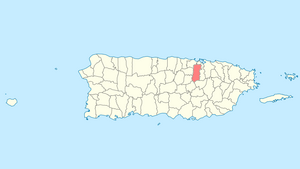 Bayamón, Puerto Rico Facts for Kids