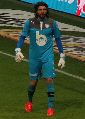 Sébastien Frey Facts for Kids