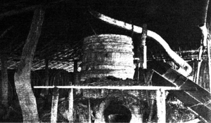 Lambanog Facts for Kids