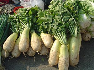 Korean radish Facts for Kids