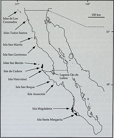 Cedros Island Facts for Kids