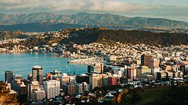 Wellington Facts for Kids