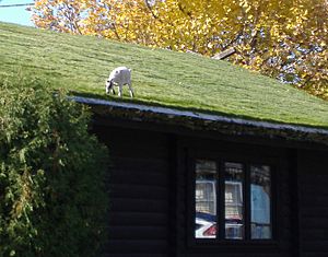 Al Johnson's Swedish Restaurant Facts for Kids