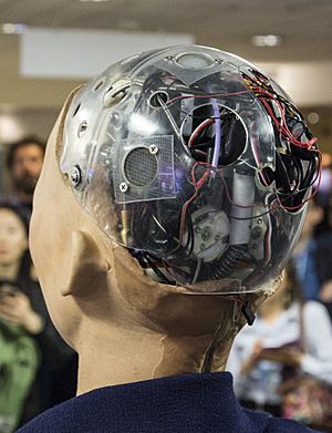 Sophia (robot) Facts for Kids