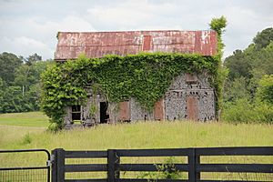 Franklin-Creighton Mine Facts for Kids