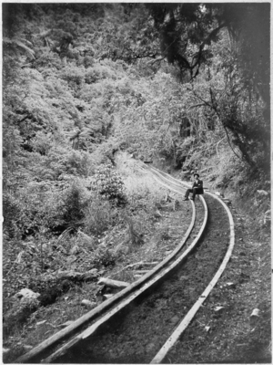 Akatarawa Valley Facts for Kids