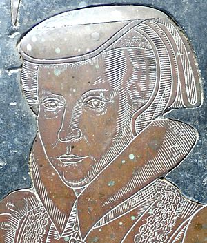 Nicholas Wadham (1531–1609) Facts for Kids