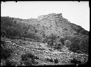 Purroy de la Solana Facts for Kids