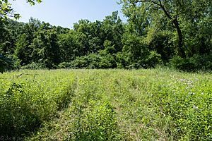 Red Gate Woods Facts for Kids