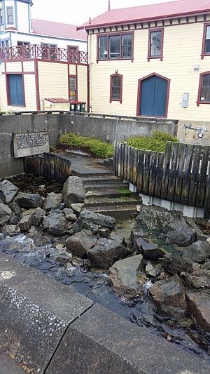 Patricia Grace Facts for Kids