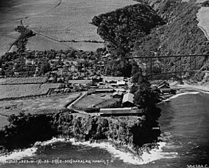 Hakalau, Hawaii Facts for Kids