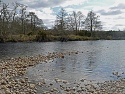 Battle of Logiebride Facts for Kids