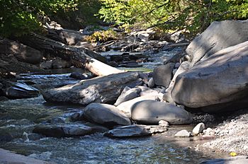 Saw Kill (Esopus Creek tributary) Facts for Kids