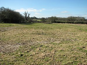 Bixley medieval settlement Facts for Kids