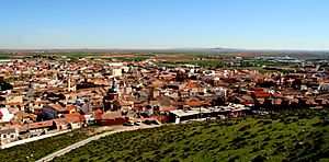 Consuegra Facts for Kids