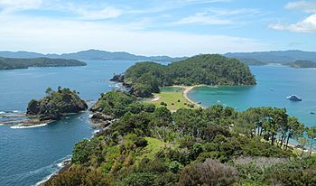 Motuarohia Island Facts for Kids