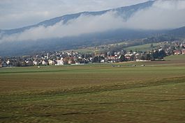 Bettlach, Switzerland Facts for Kids