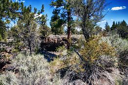 Derrick Cave Facts for Kids