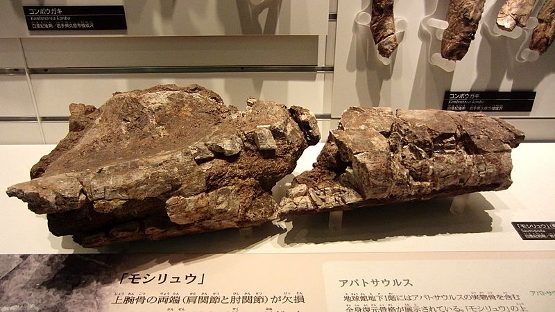 Liassaurus Facts for Kids