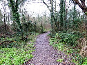 Whitegrove Copse Facts for Kids