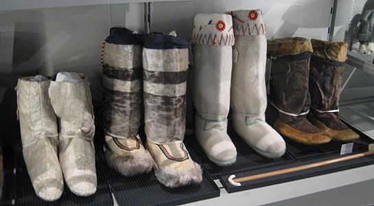 Mukluk Facts for Kids