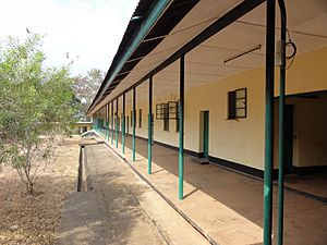 New Rice for Africa Facts for Kids