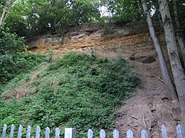 Gilbert's Pit Facts for Kids